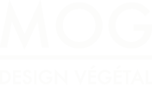 MOG DESIGN VEGETAL livraison de fleurs à Genève, boutique en ligne.